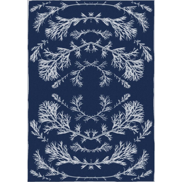 "Vintage Pressed Flowers Nº1", Botanical Cyanotype on Watercolor Paper ...