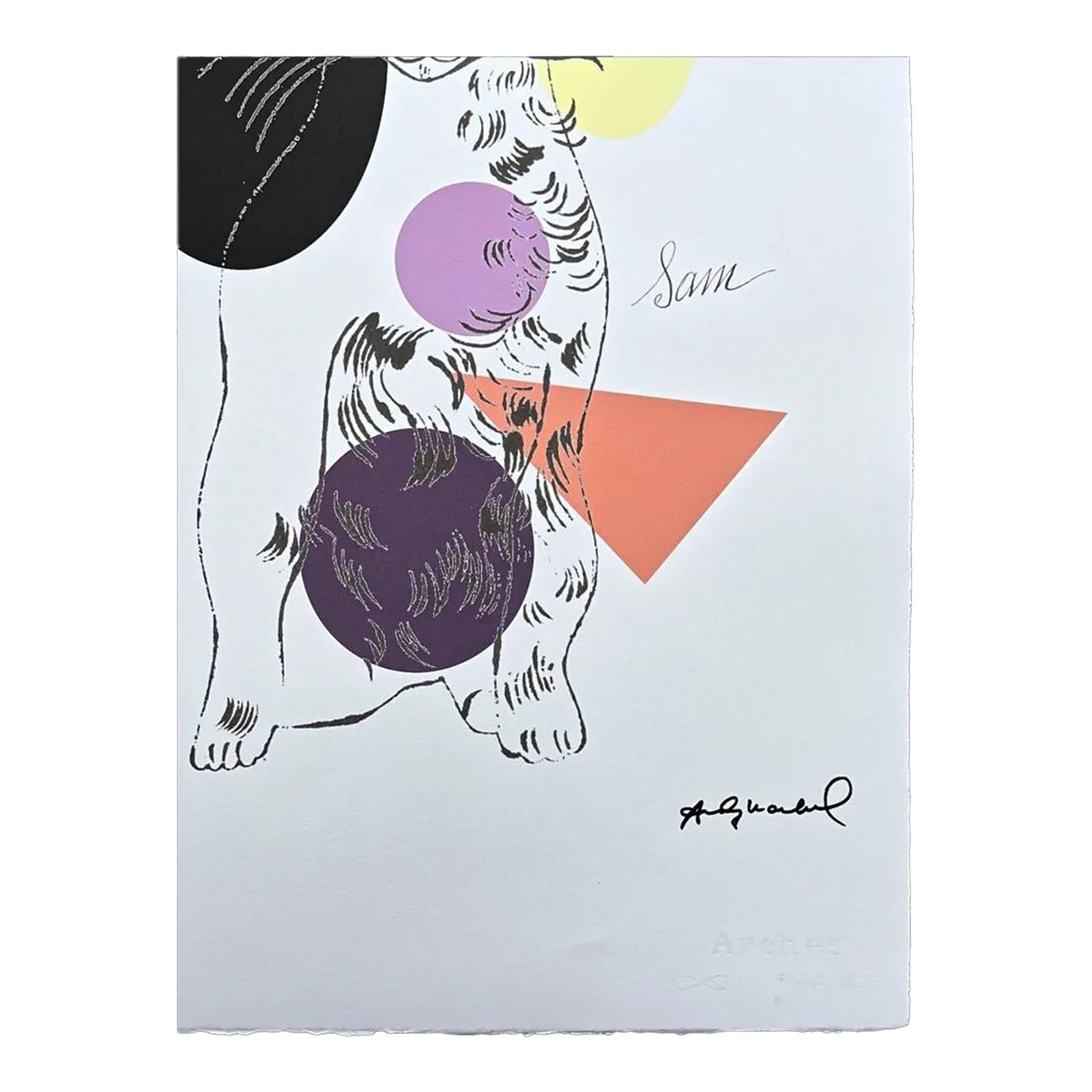 After Andy Warhol, Cat Sam Colored Ii, 1980s, Lithograph | Chairish