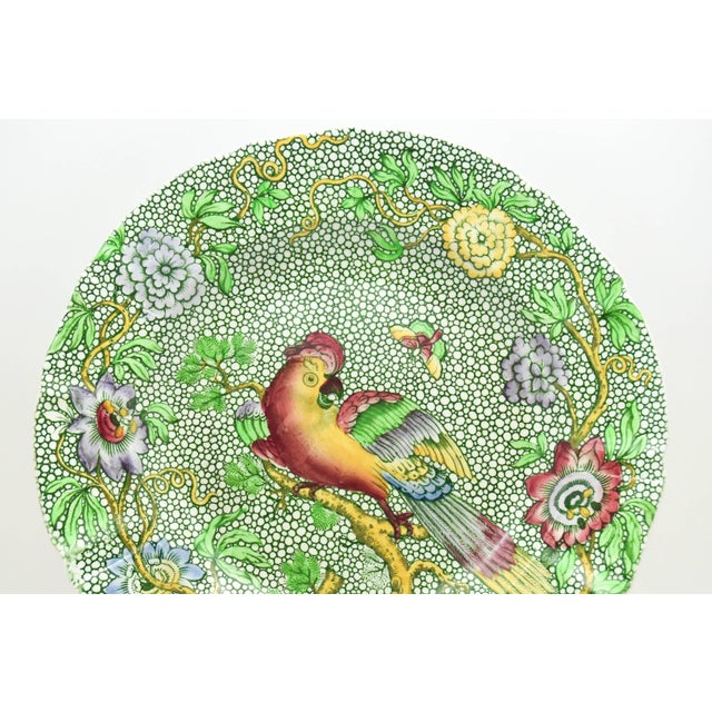 Set of 14 Copeland Late Spode Aesthetic Movement Green Parrot Dessert ...