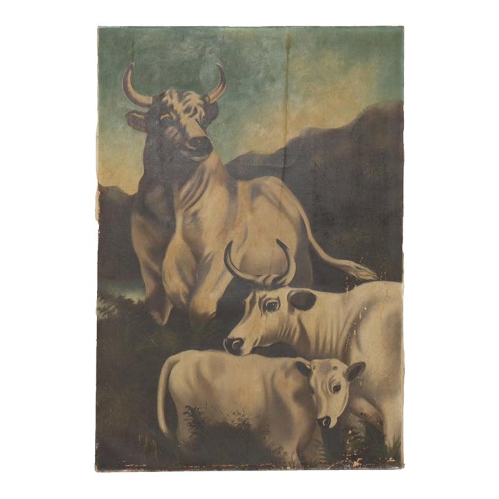 Large Antique Oil on Canvas Western Themed Painting of Steers C1900 ...