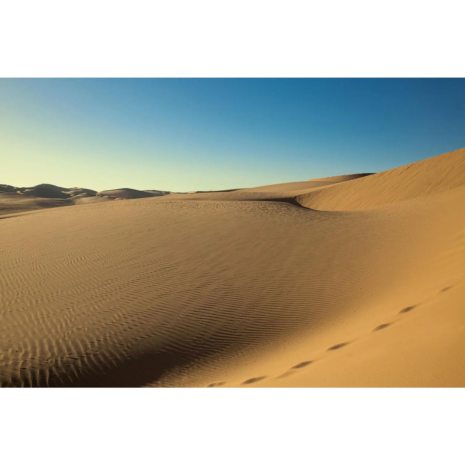 "Yuma 21" Contemporary Original Desert Landscape Photograph by Michael ...