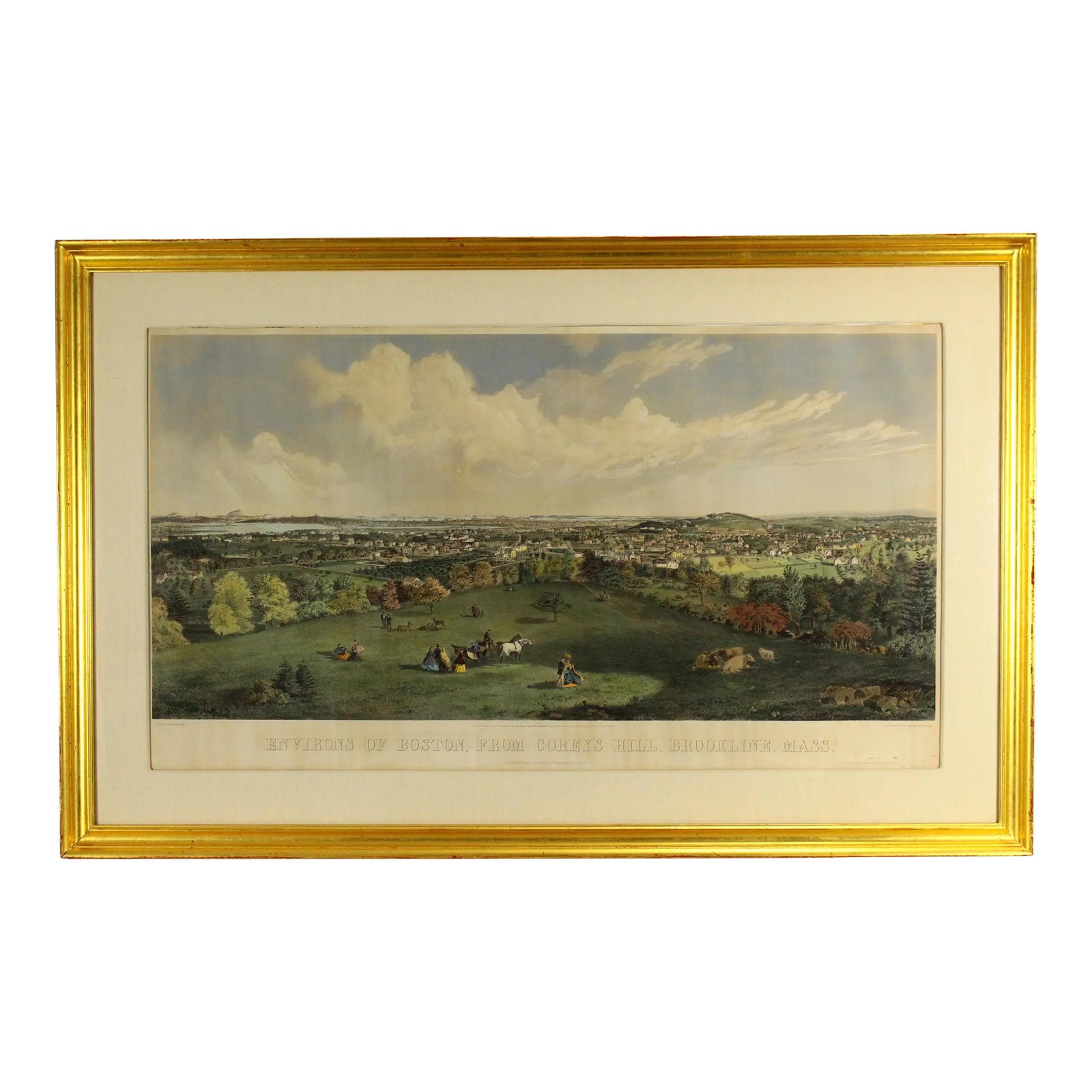 1864 "Environs of Boston" Hand Tinted Topographic Engraving Freeman ...