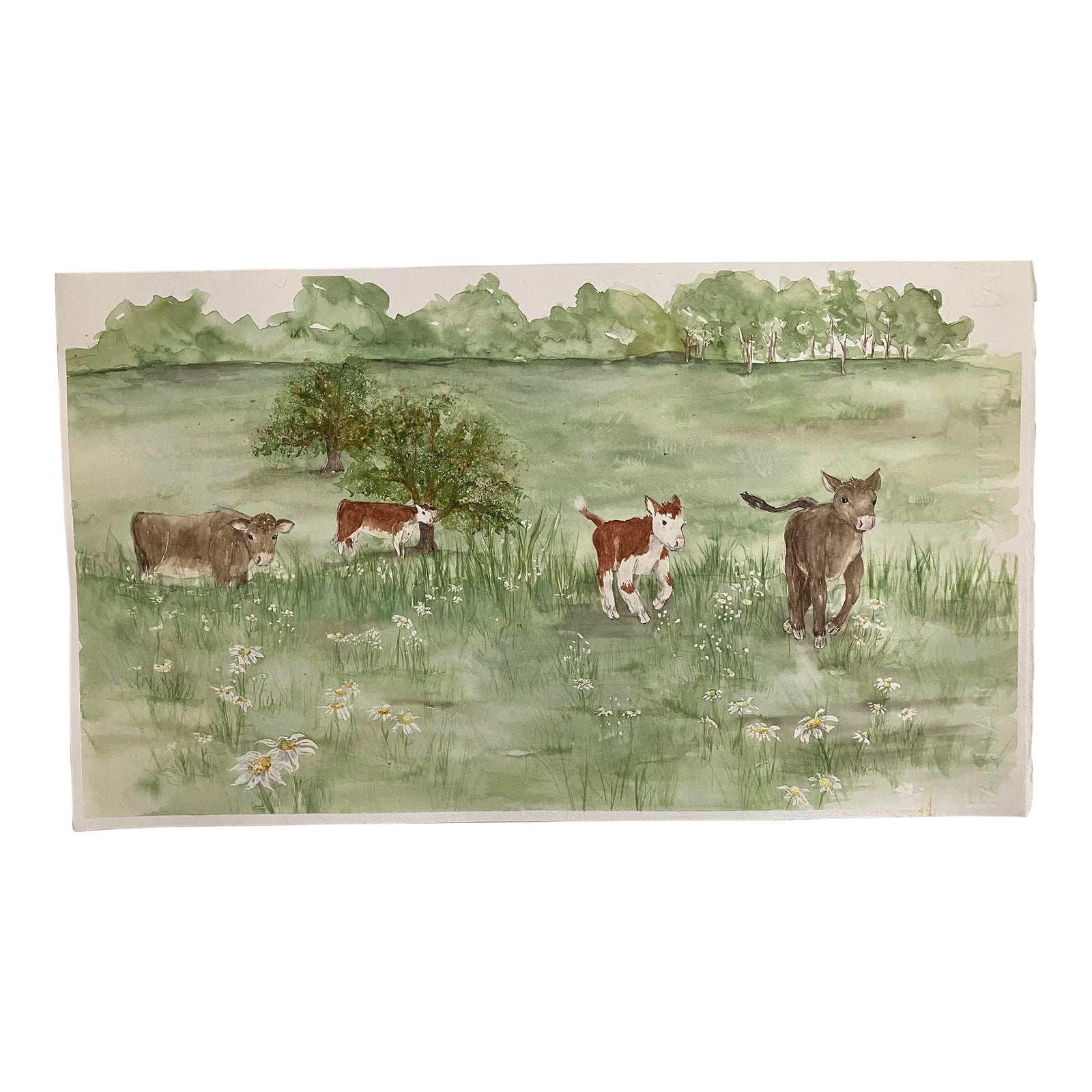 Cows and Calves - Watercolor Book Illustration, 19x11 | Chairish