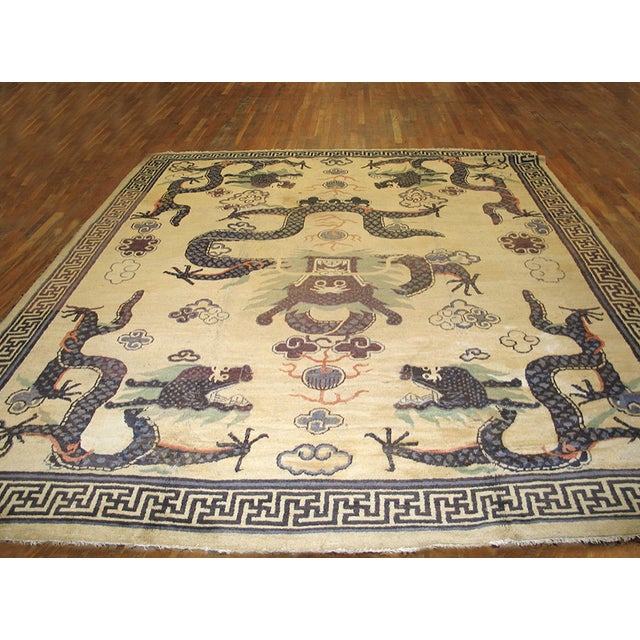Antique Chinese - Mongolian Rug 9'8" X 12'0" | Chairish