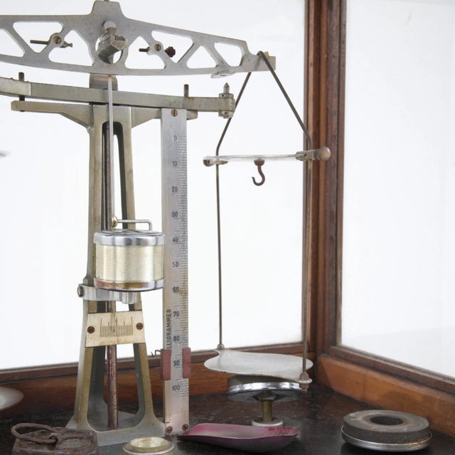 Early 20th Century French Laboratory Scale | Chairish