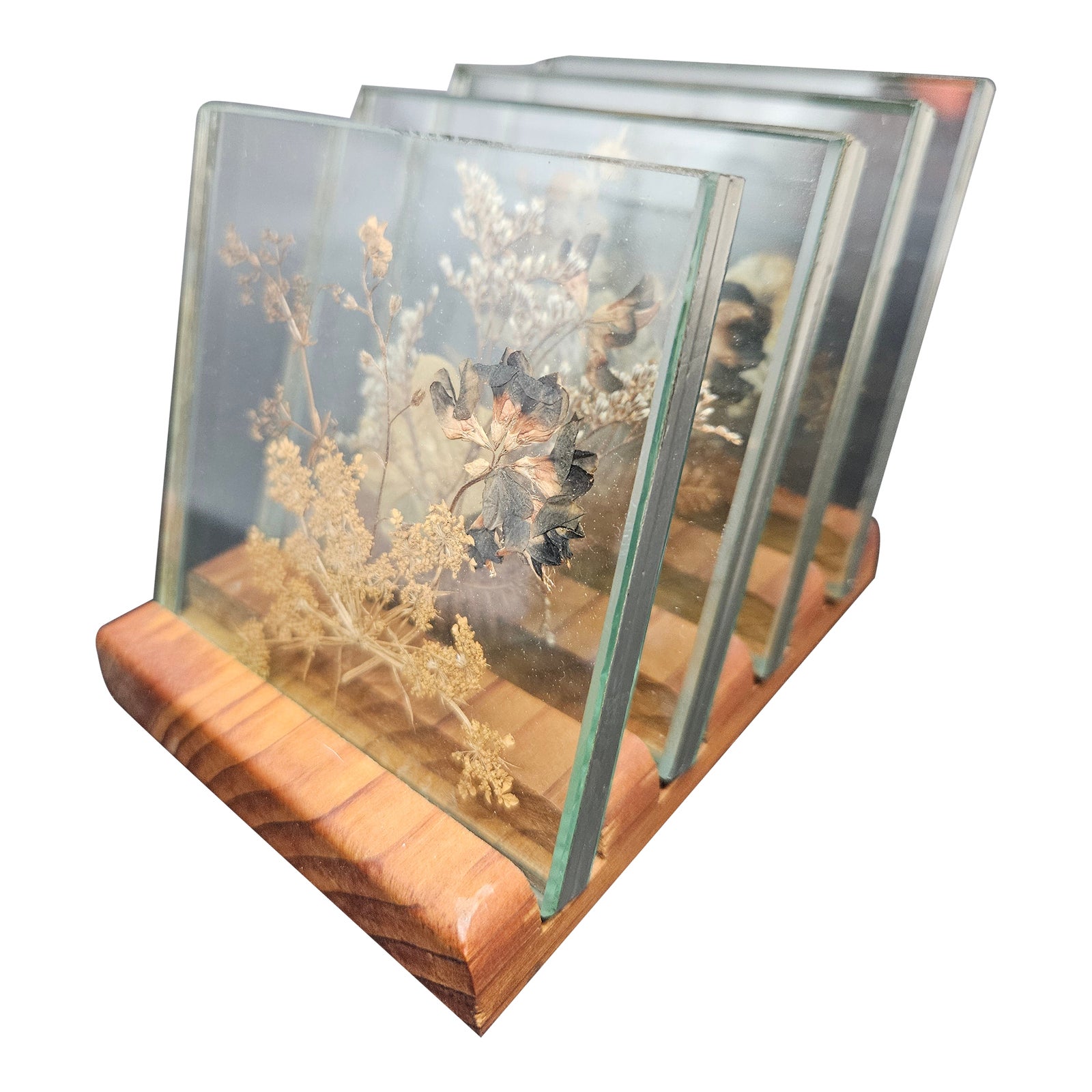Vintage Set of 4 Pressed Flowers Glass Coasters and Stand | Chairish