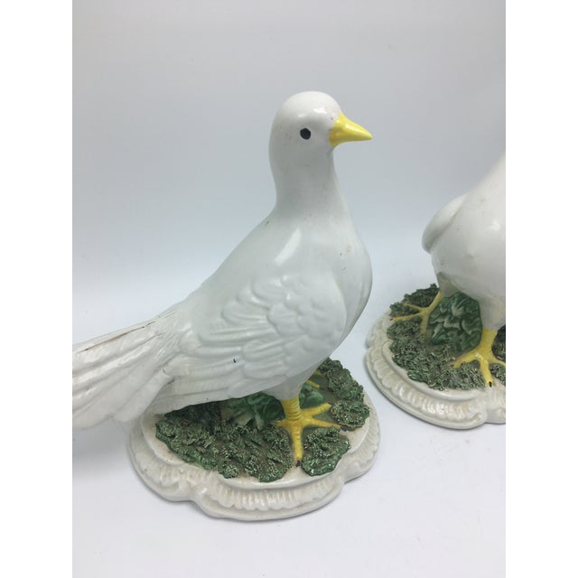 Italian Doves, a Pair | Chairish