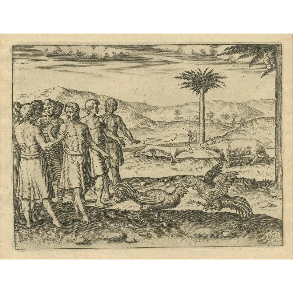 De Bry, The Cockfight of Java, 1601, Engraving | Chairish