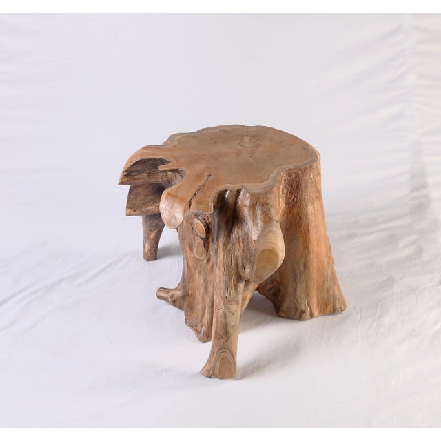 Organic Modern Nature Teak Root Accent or Side Table or Stool 4 | Chairish