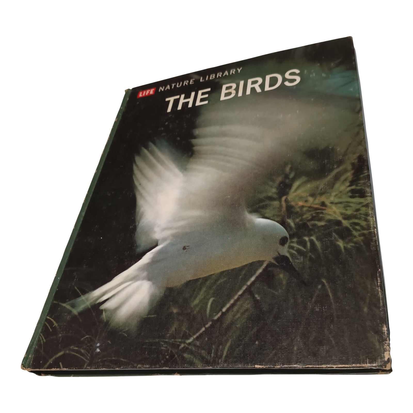 Vintage Time Life Nature Library the Birds Book | Chairish