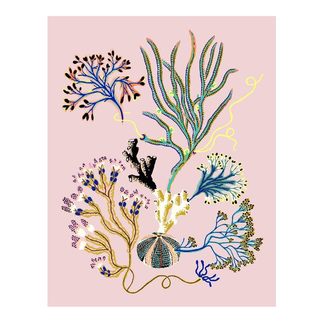 Sea Garden Vignette Giclee Print by Sarah Gordon | Chairish