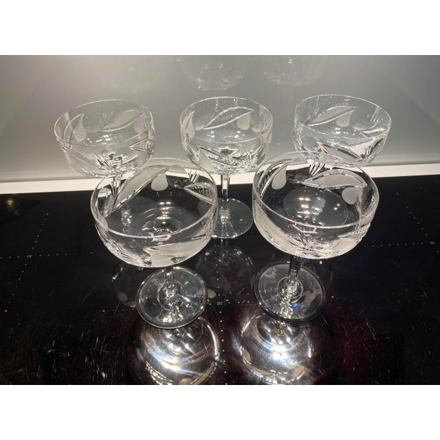 Set of 5 Vintage Rogaska Crystal Champagne Tall Sherbet / Coupes Design ...