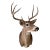 Vintage Taxidermied Shoulder Deer Mount | Chairish