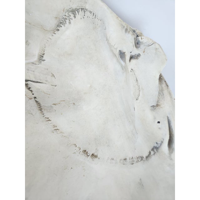 Large Vintage Coastal Gypsum Sculptural Clam Sea Shell Decorative Bowl ...