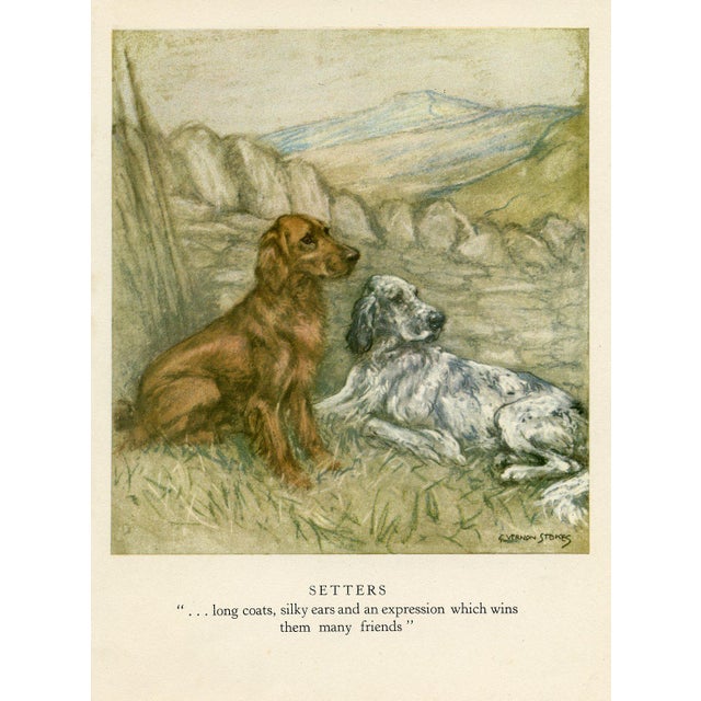 Pair of English Setters Vintage Print | Chairish