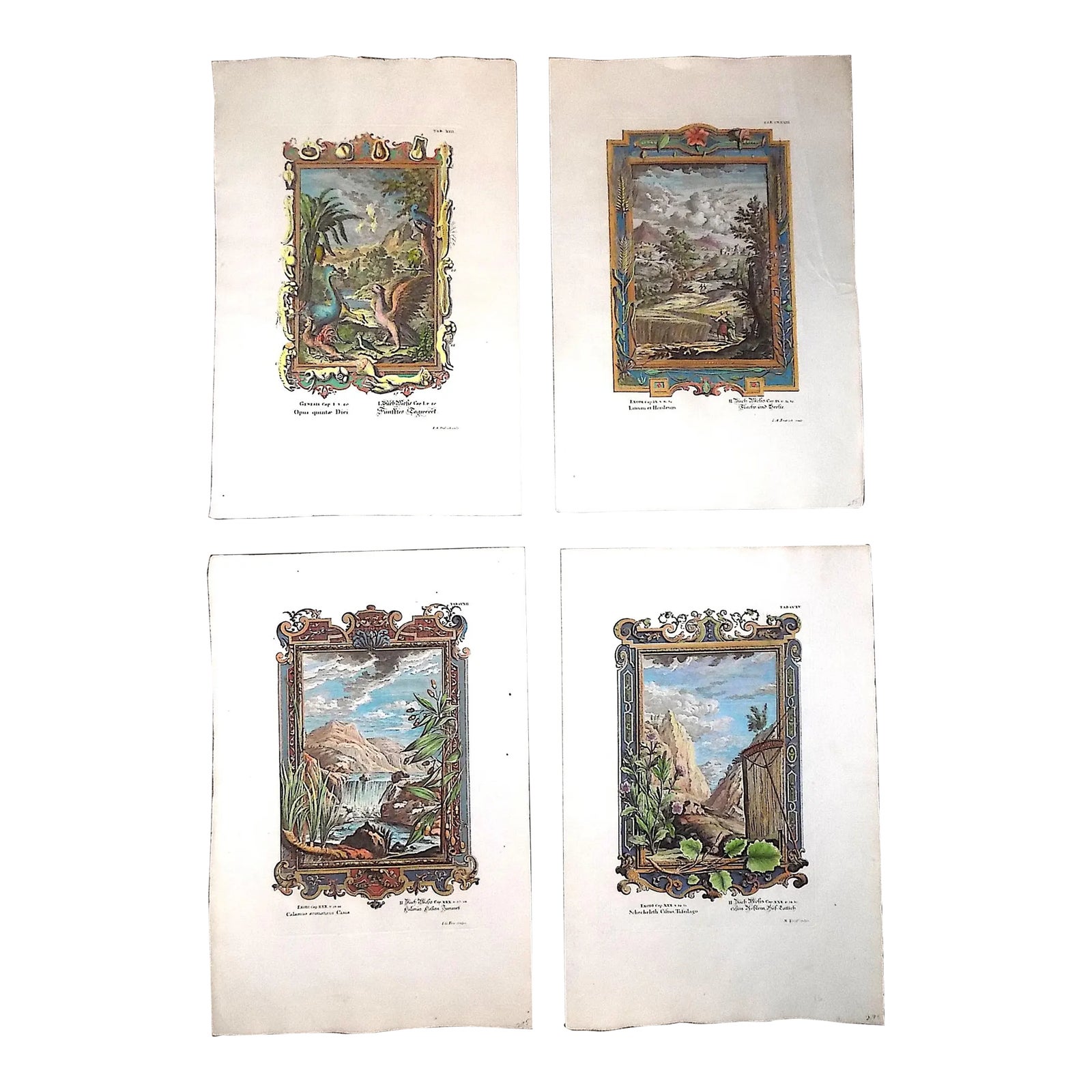 Antique 18th Century (1731) Hand Colored Copperplate Landscape ...