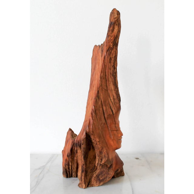 Vintage Hand Carved Tree Root Wood Abstract Art Sculptures S/5 | Chairish