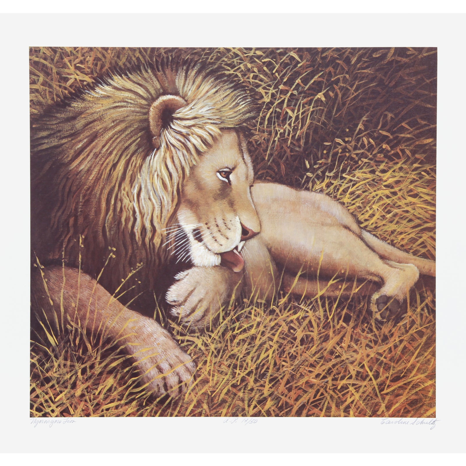 Caroline Schultz Lithograph - Ngorongoro Lion | Chairish