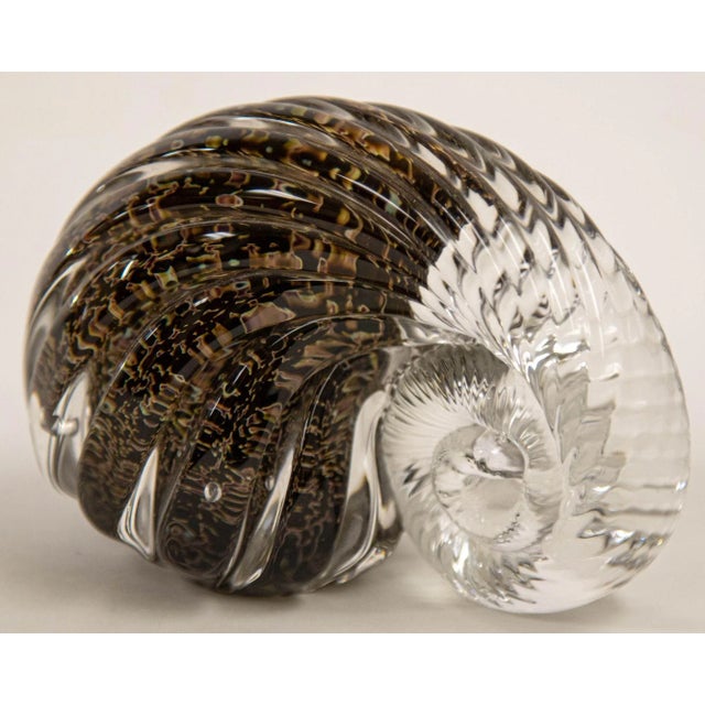 Chambered Nautilus Shell Art Glass Paperweight | Chairish