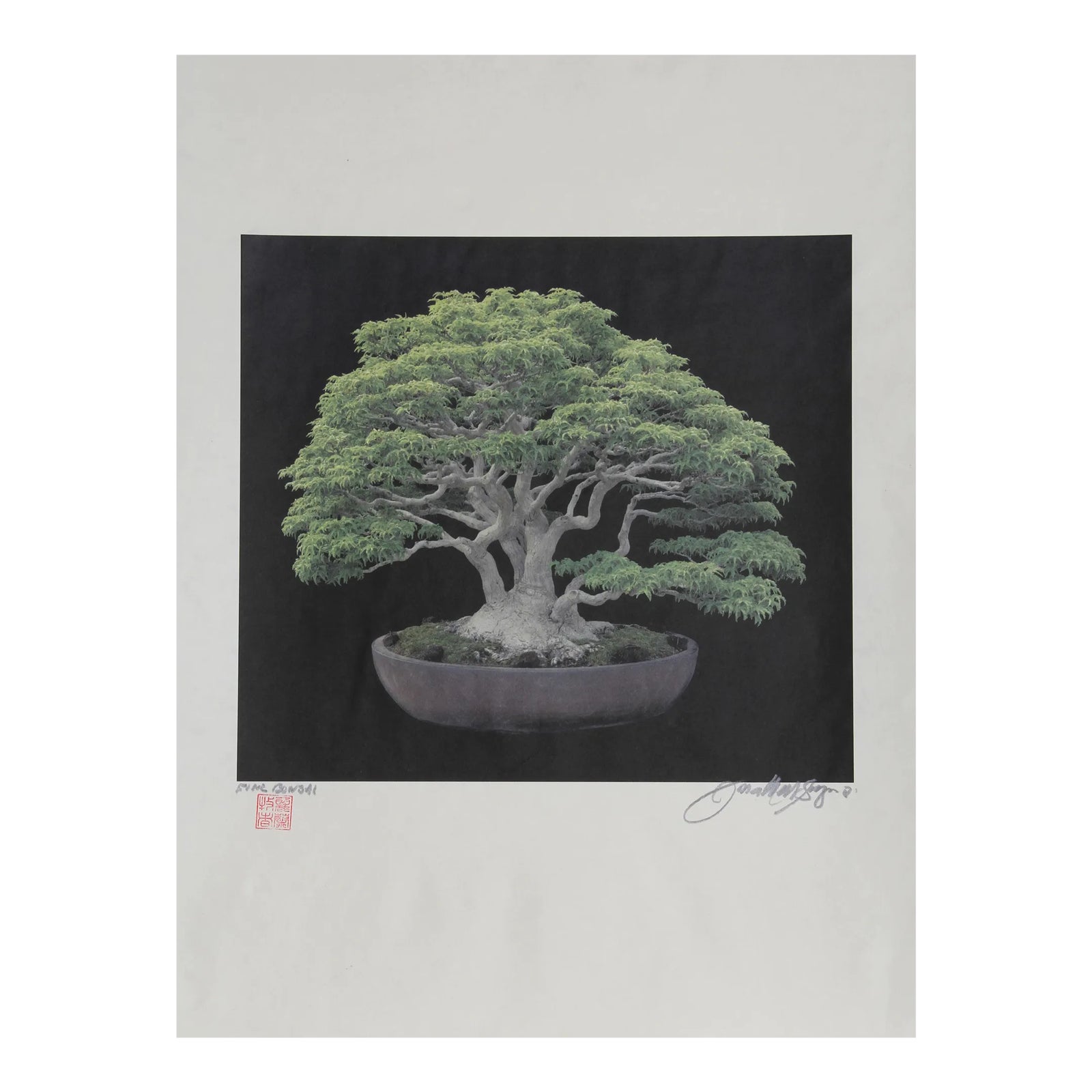 Bonsai #4, Jonathan Singer, Photography | Chairish