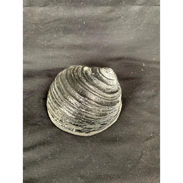Vintage Glass Shell Paperweight | Chairish