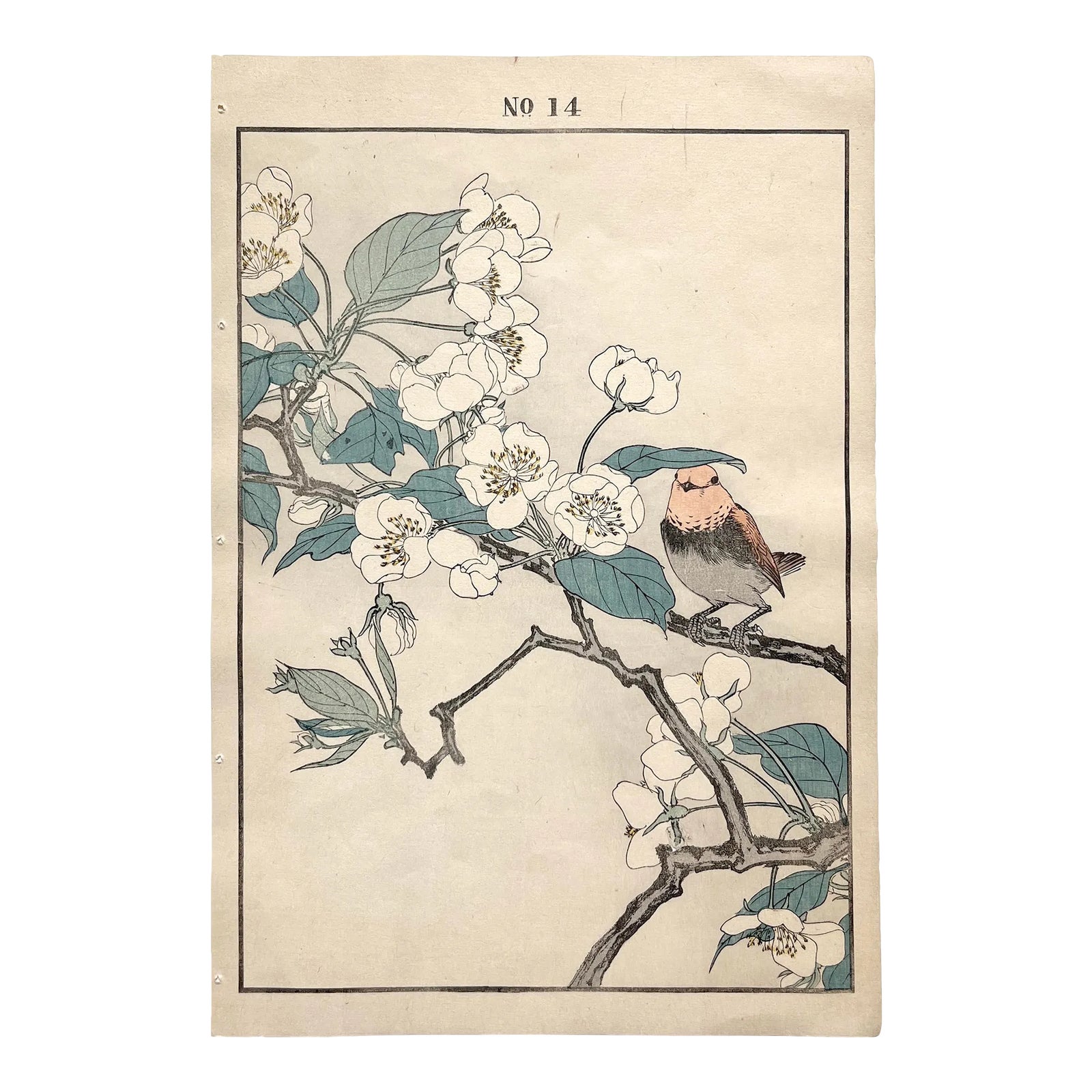 Imao Keinen, "Pear Blossoms and Rufous-Tailed Robin," 1891 First ...