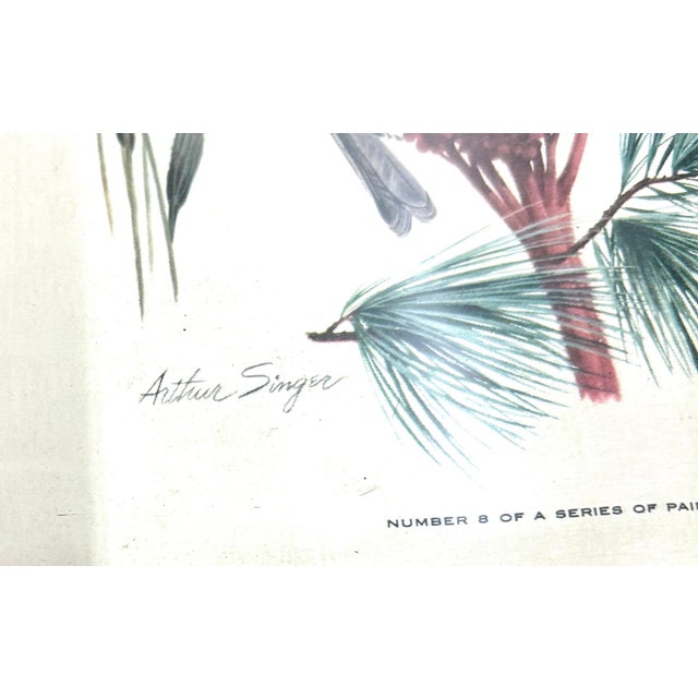 1950s Vintage Arthur Singer Autobahn Bird Prints, a Pair Framed | Chairish
