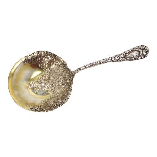 fancy spoon scoop