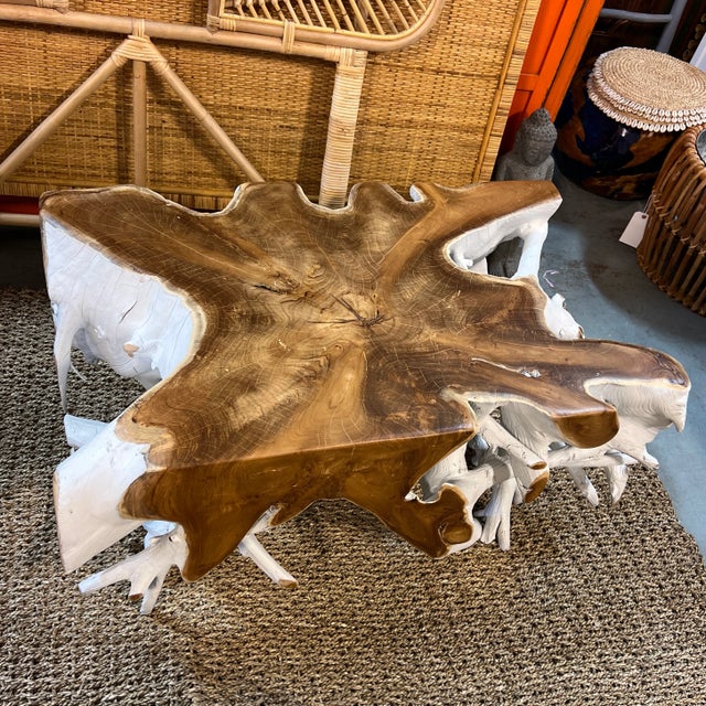 Organic Modern White Teak Root Coffee Table | Chairish