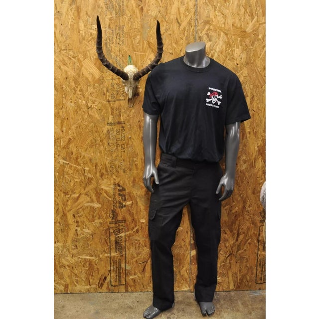 Vintage Impala African Antelope Cranium Skull Horn Mount Wall Taxidermy ...