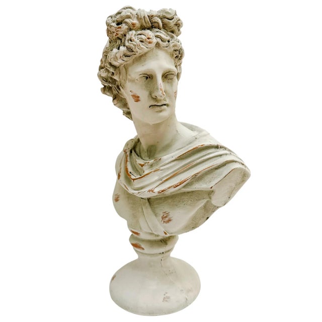 Cast Terracotta Bust of Apollo Belvedere | Chairish