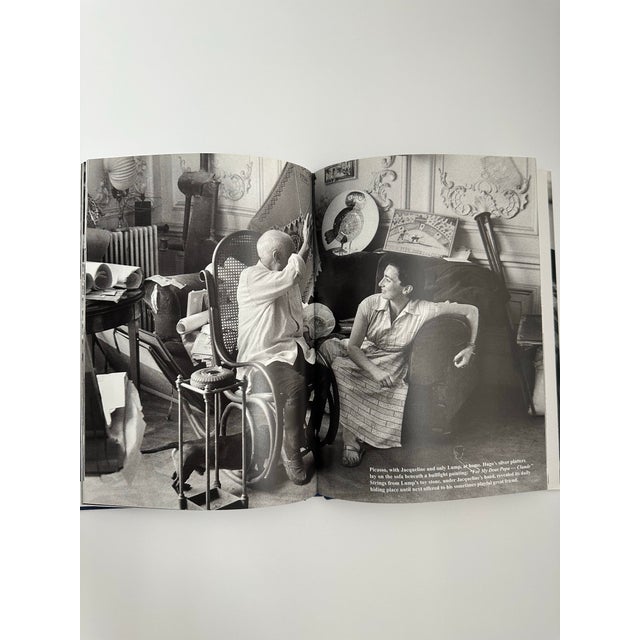 Late 20th Century Picasso and Lump; A Dashund’s Odyssey Photography ...