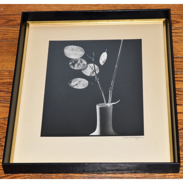Vintage Ada O'Hagan Signed Framed Black & White Still Life Botanical ...