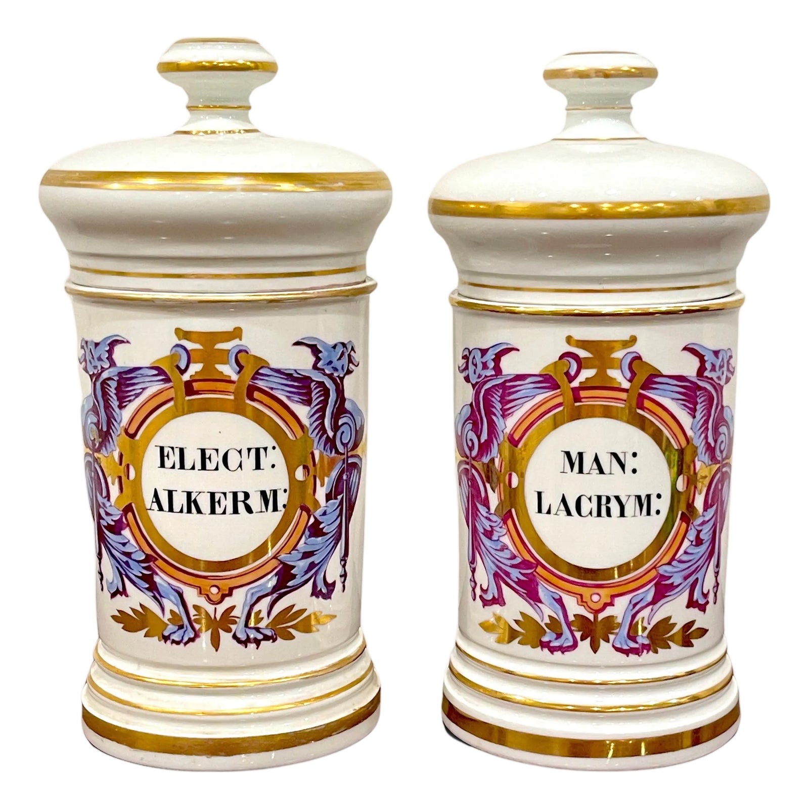 Pair of Neoclassical Apothecary Jars by Maison A Collin Porcelaines ...