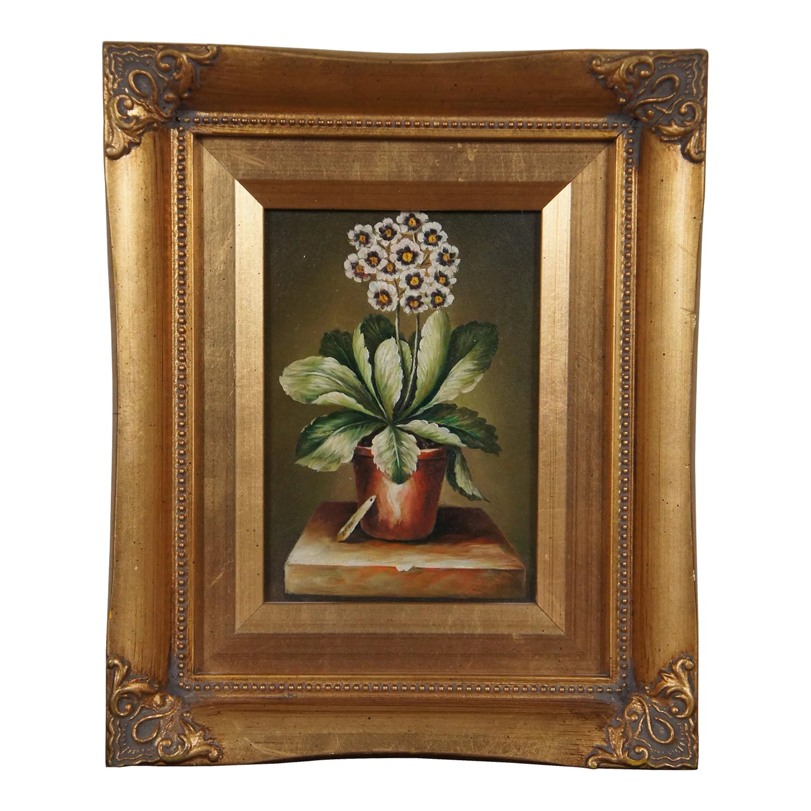 Robert Grace Primula Aricula Flower Pot Still Life Oil Painting on ...