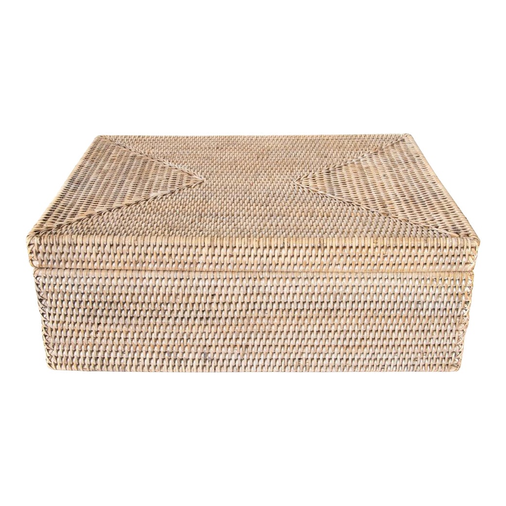 Artifacts Rattan Storage Box with Lid - Flat Legal File Organizer in ...