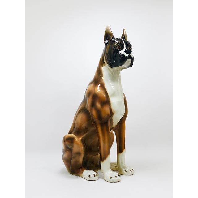 Boxer Dog Life-Size Majolica Statue Sculpture in Glazed Ceramic, Italy ...