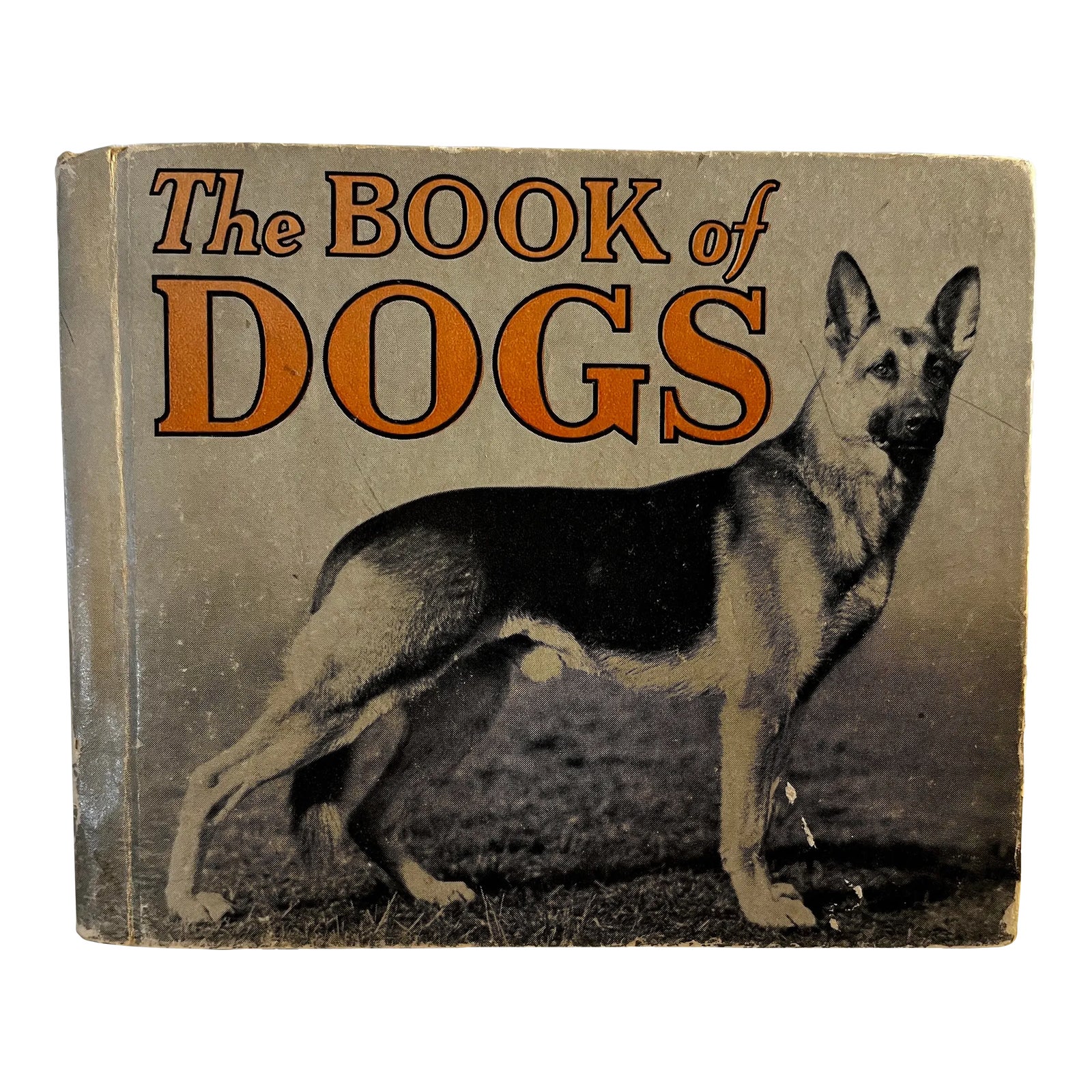 1934 the Book of Dogs | Chairish