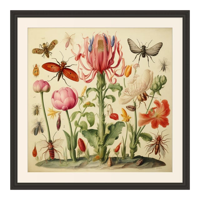 18' X 18' Framed 'Insects and Flowers' Botanical Print | Chairish