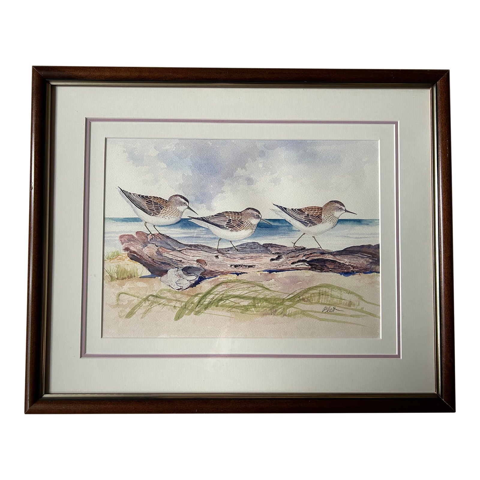 Original Watercolor Painting of Shorebirds on Beach | Chairish
