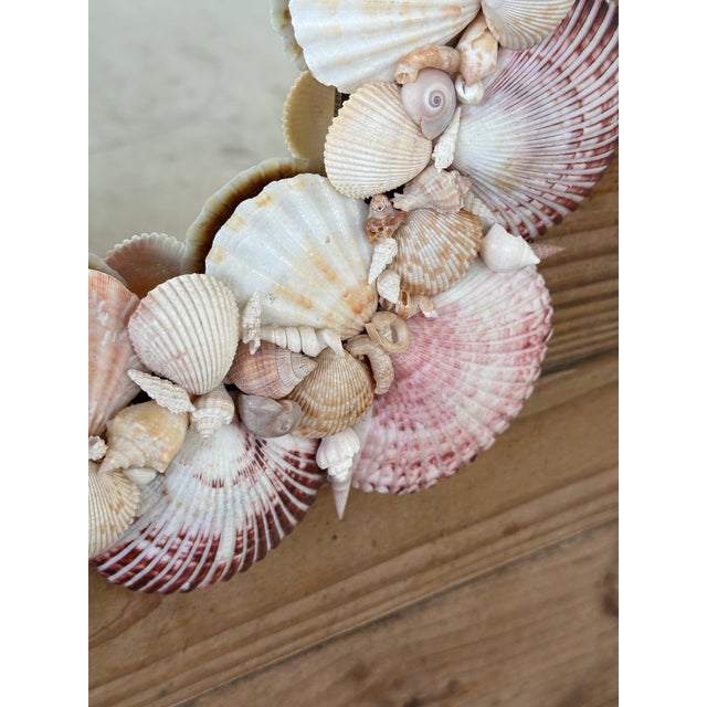 Coastal Handmade Pink Scallop Seashell Wall Mirror | Chairish