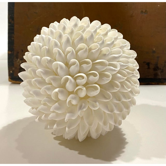 White Sea Shell Ball Vintage 1990’s | Chairish