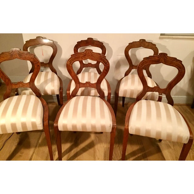 Antique Biedermeier Saloon Chairs - Set of 6 | Chairish