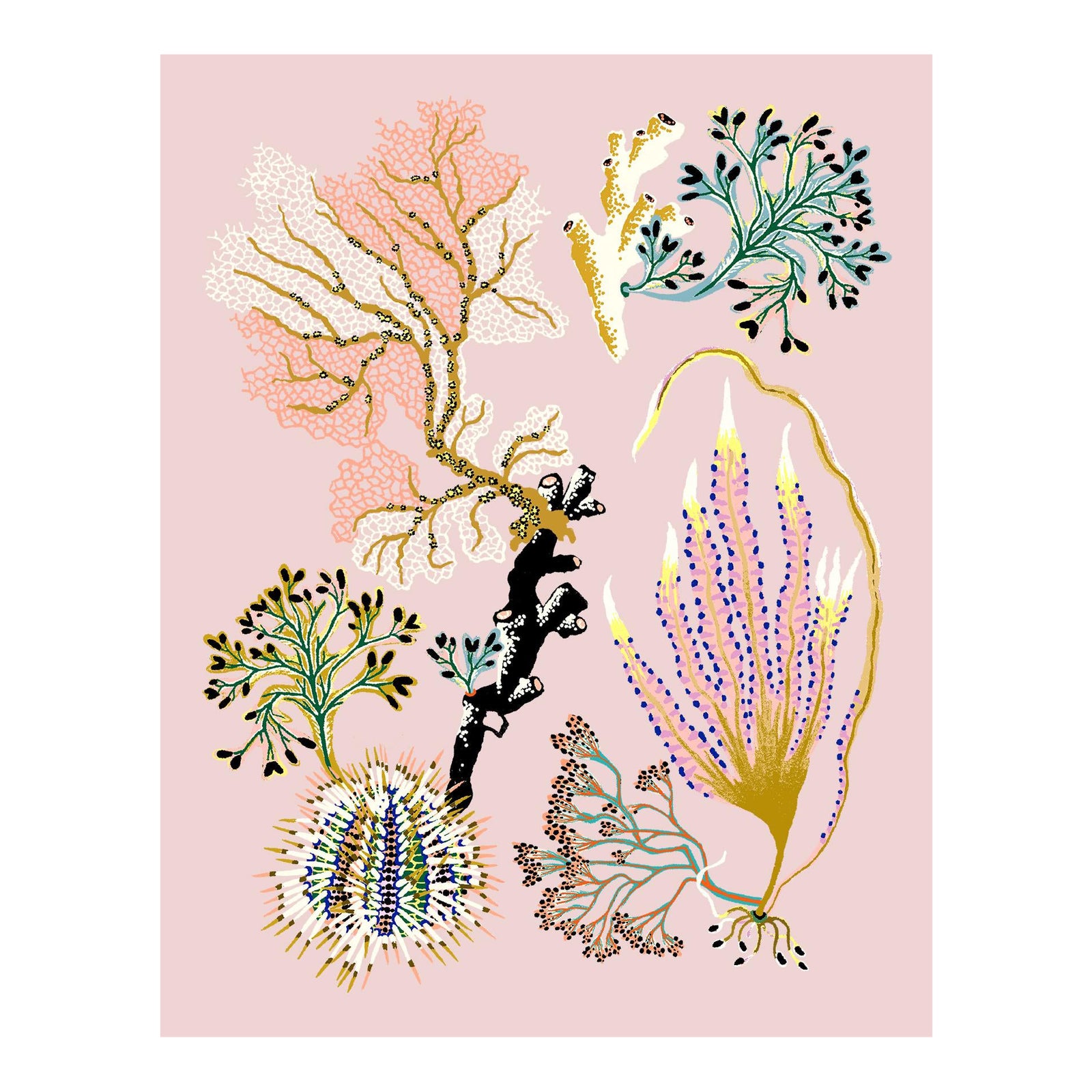 Sea Garden Urchin, Giclee Print by Sarah Gordon | Chairish