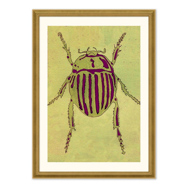 Striped Beetle - Light Series no. 3 by Jessica Molnar in Gold Frame ...