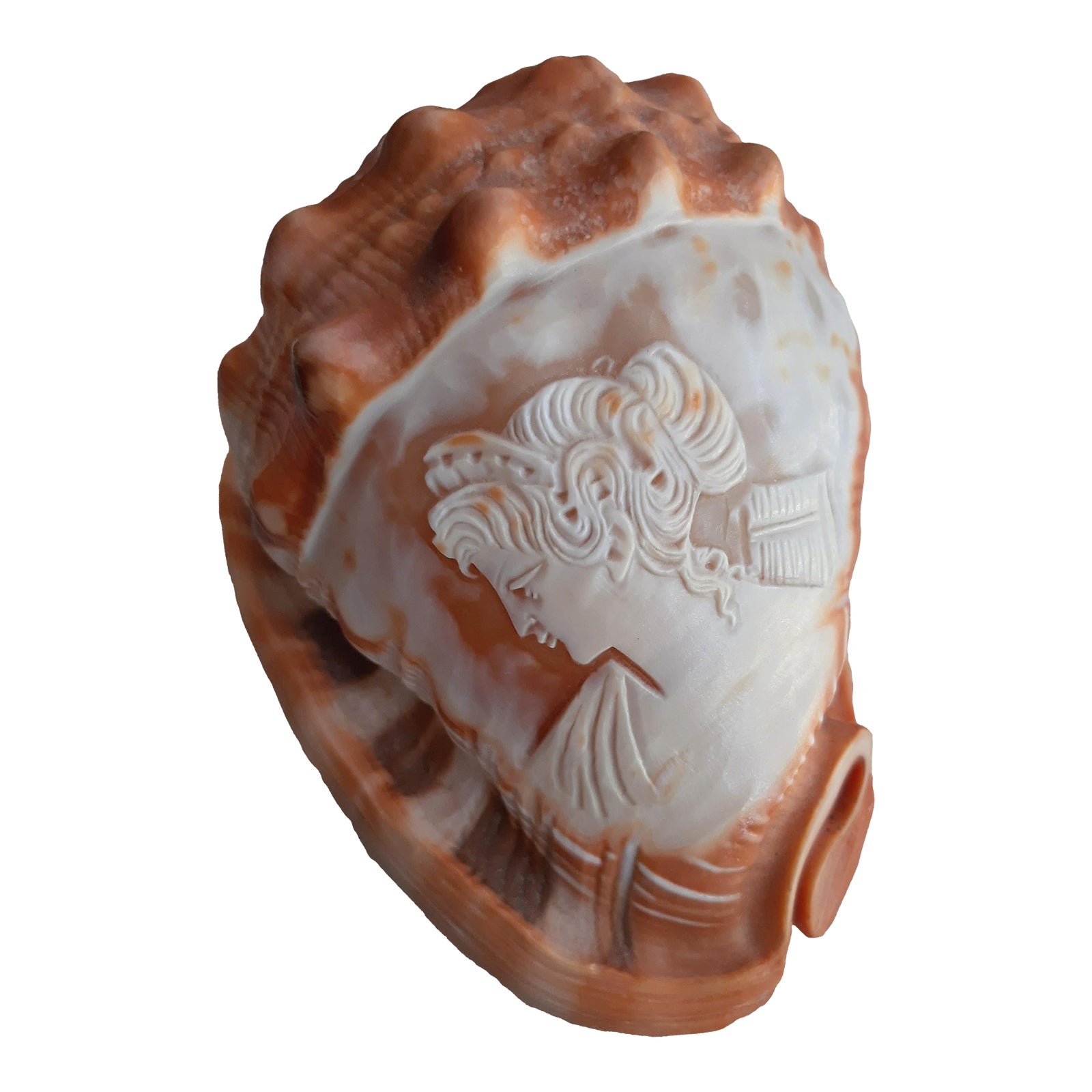 Italian Hand Carved Cameo Helmet Conch Seashell | Chairish