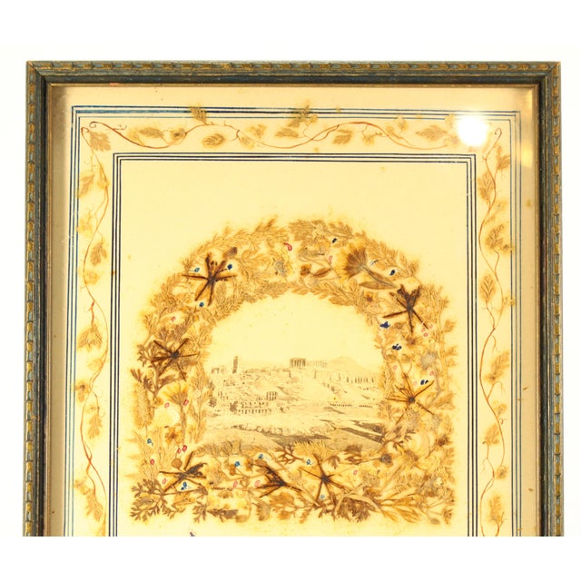 19th Century Watercolor & Herbarium Drawing of Acropolis & Calligraphy ...