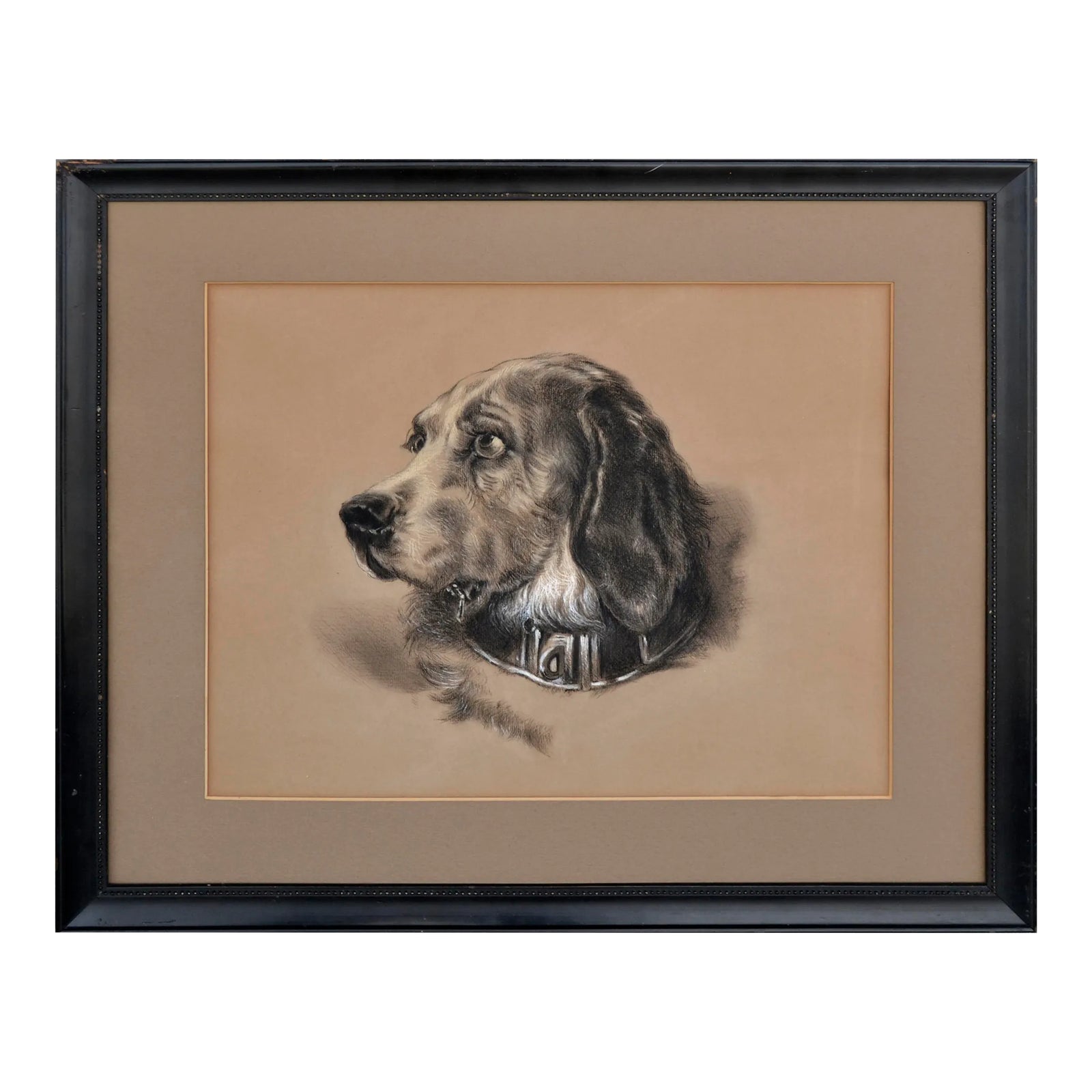 Early 20th Century Spaniel Dog Portrait | Chairish