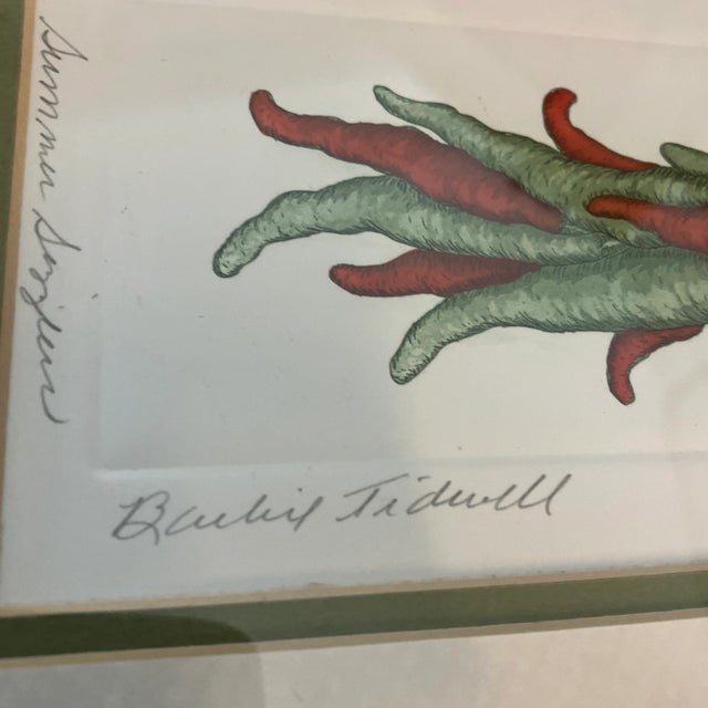 1980’s Original Vintage 3 Vegetable Colored Lithograph Prints Custom ...