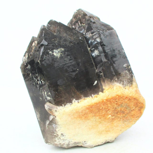 Mineral Specimen Black Quartz Crystal | Chairish